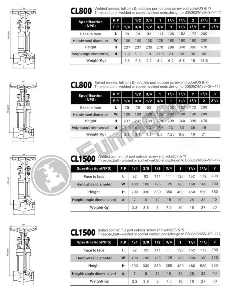 Bellow Sealed Globe Valves CL800-CL1500 LBS – Fumagalli Valves
