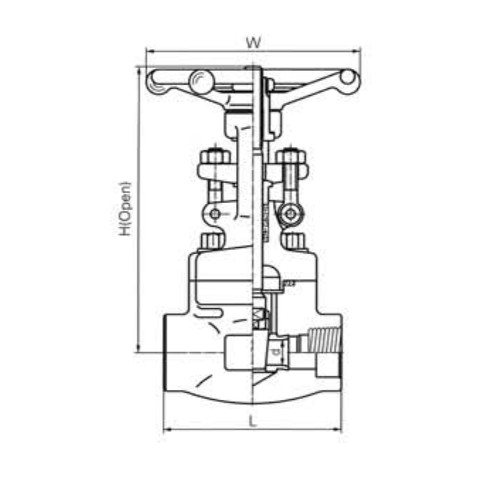 Female Threaded and Socket Welded Gate Valves CL800-CL2500 – Fumagalli ...